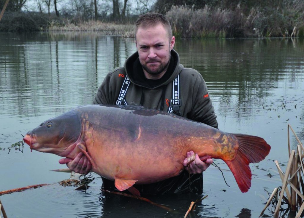 You could soon catch this 57 lb carp! - Angler's Mail