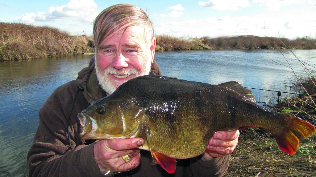 Specimen great lands massive perch! - Angler's Mail
