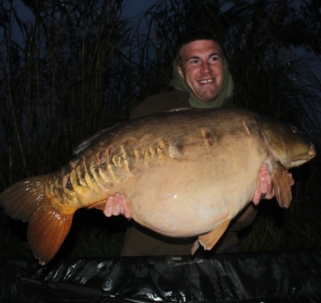 Two stunning British 50 lb carp!