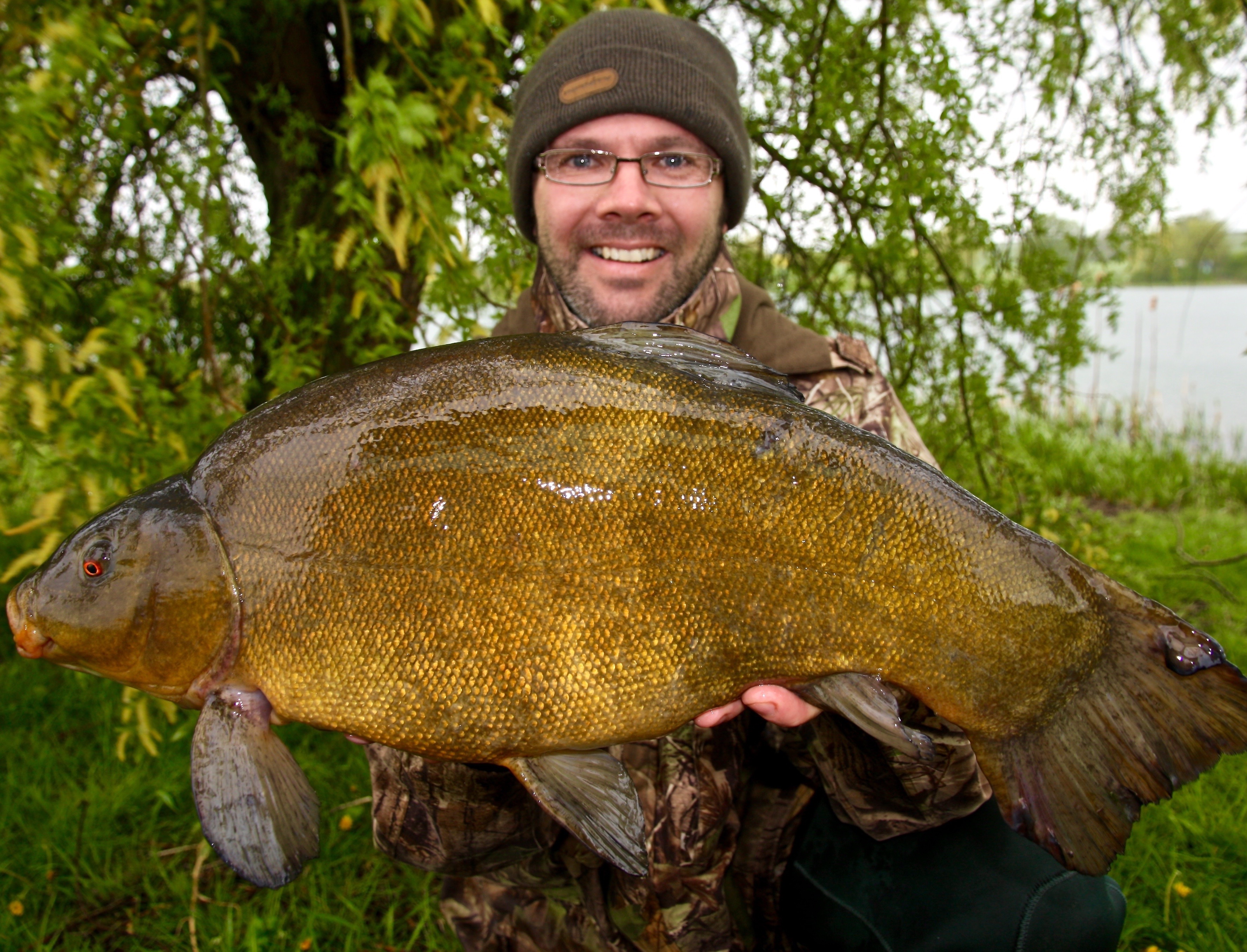 Huge tench are on the feed!