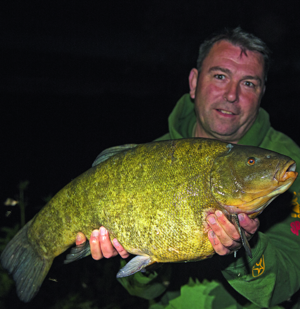 Fourth 14 lb tench in three weeks!