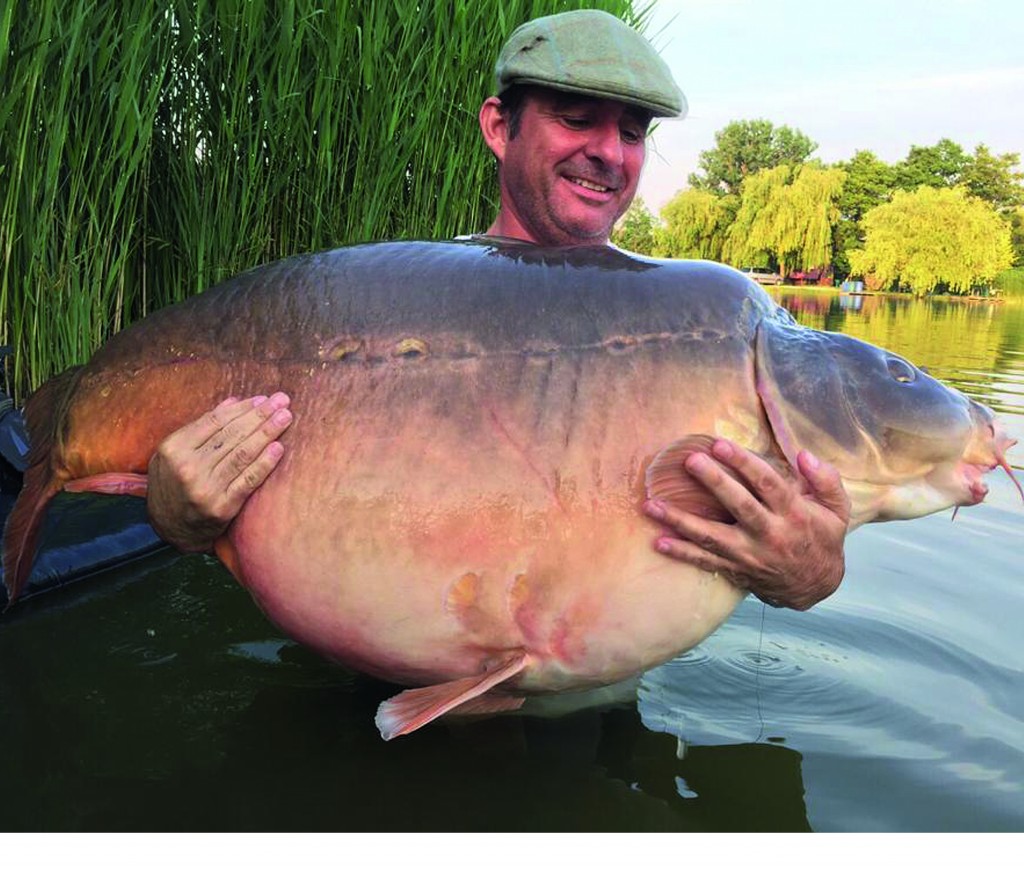 Biggest carp ever by a British angler - Angler's Mail