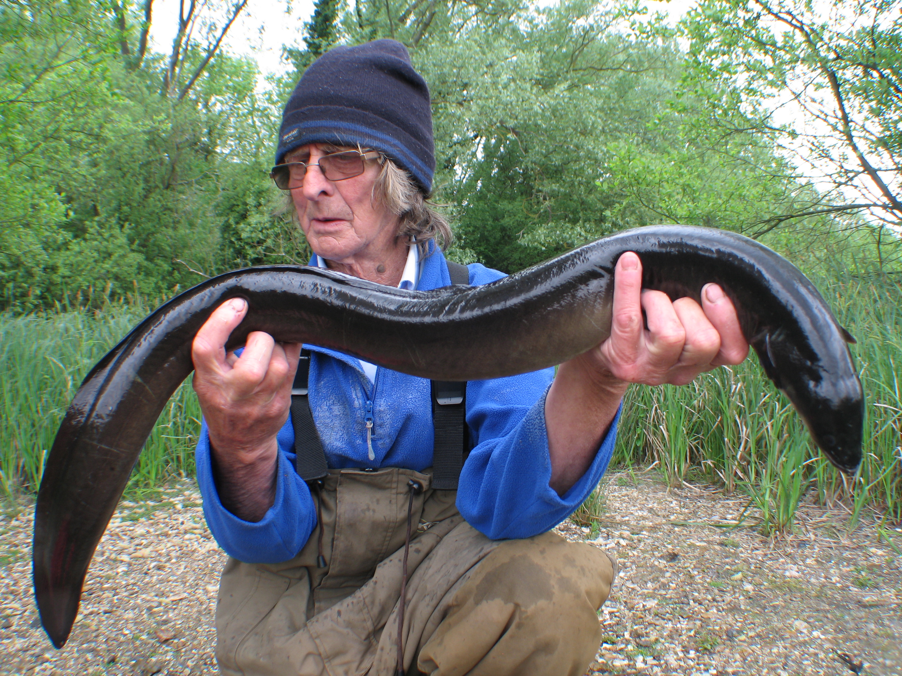 Mega specimen haul to twice champion Fred Healey - Angler's Mail