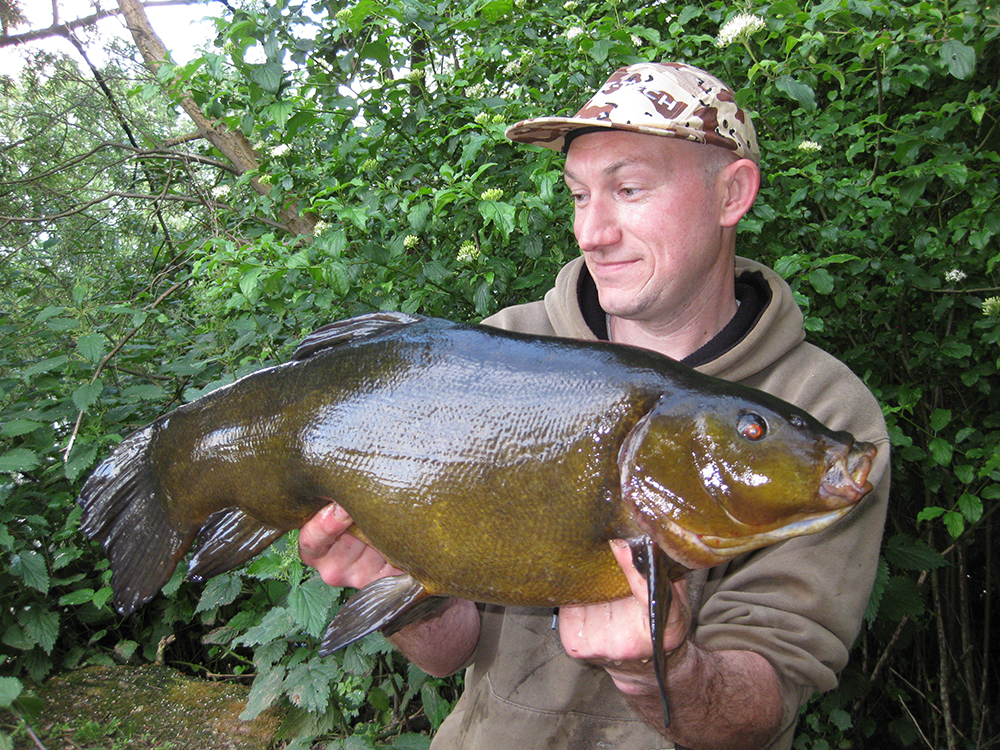 Rapid success with huge tench - Angler's Mail