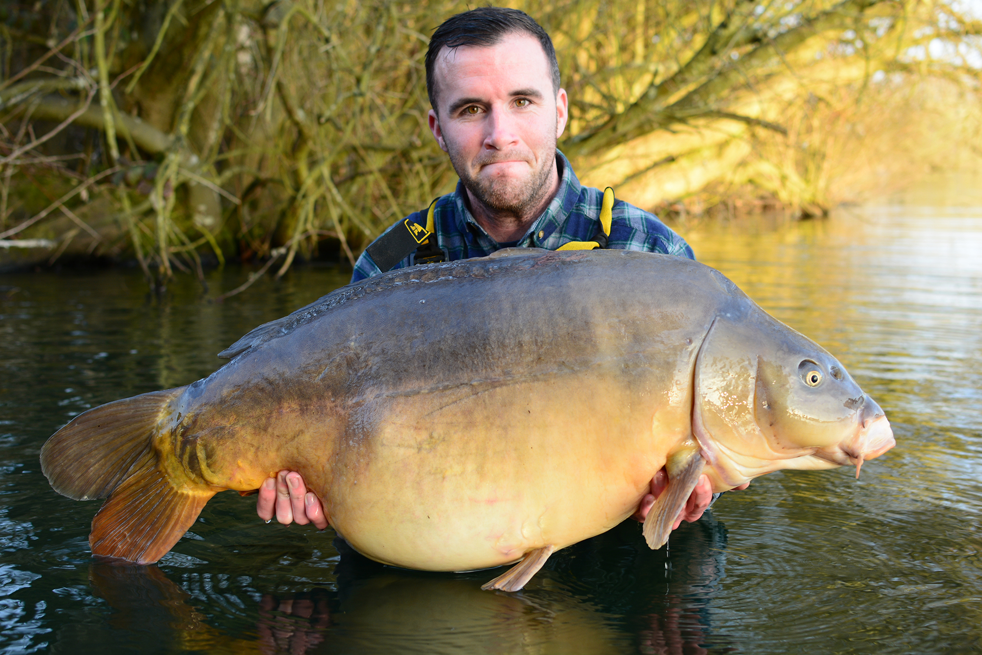 Big carp rush - 3 giants for 141 lb! - Angler's Mail