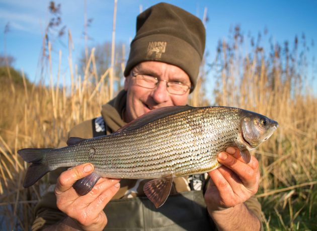 Grayling fishing tips galore in your essential guide to catching 'the ...