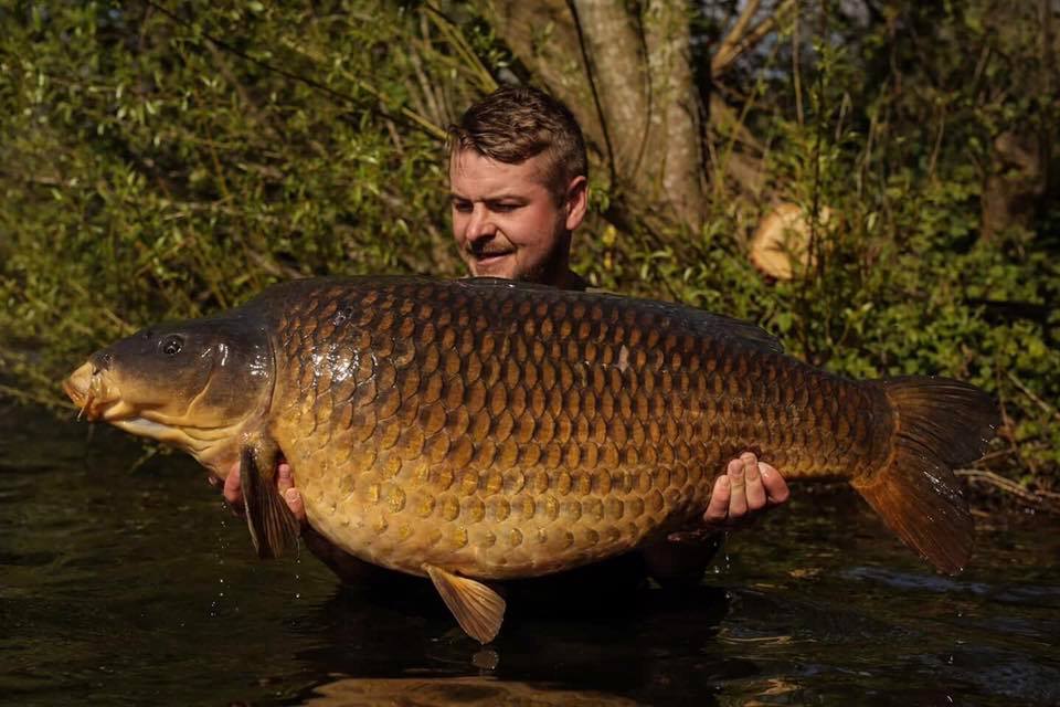 Burghfield's giant common is Britain’s favourite carp - Angler's Mail