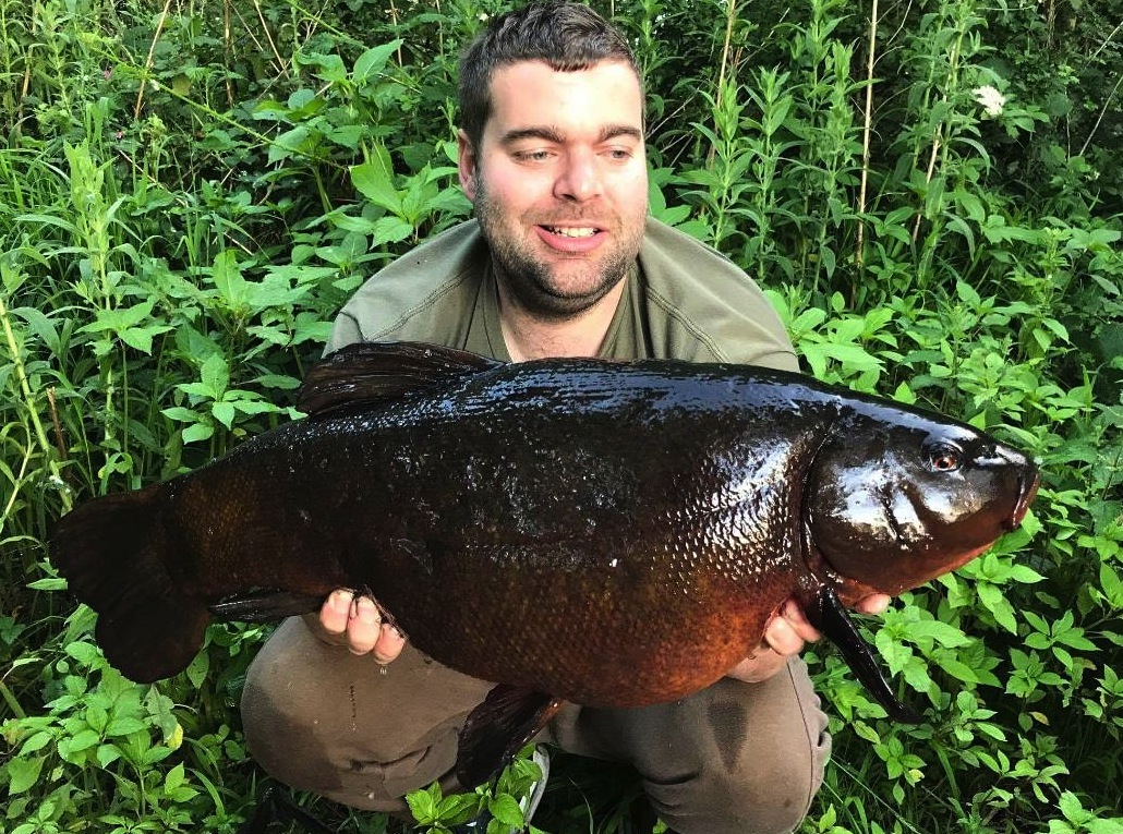 Big tench is the heaviest caught so far during 2017