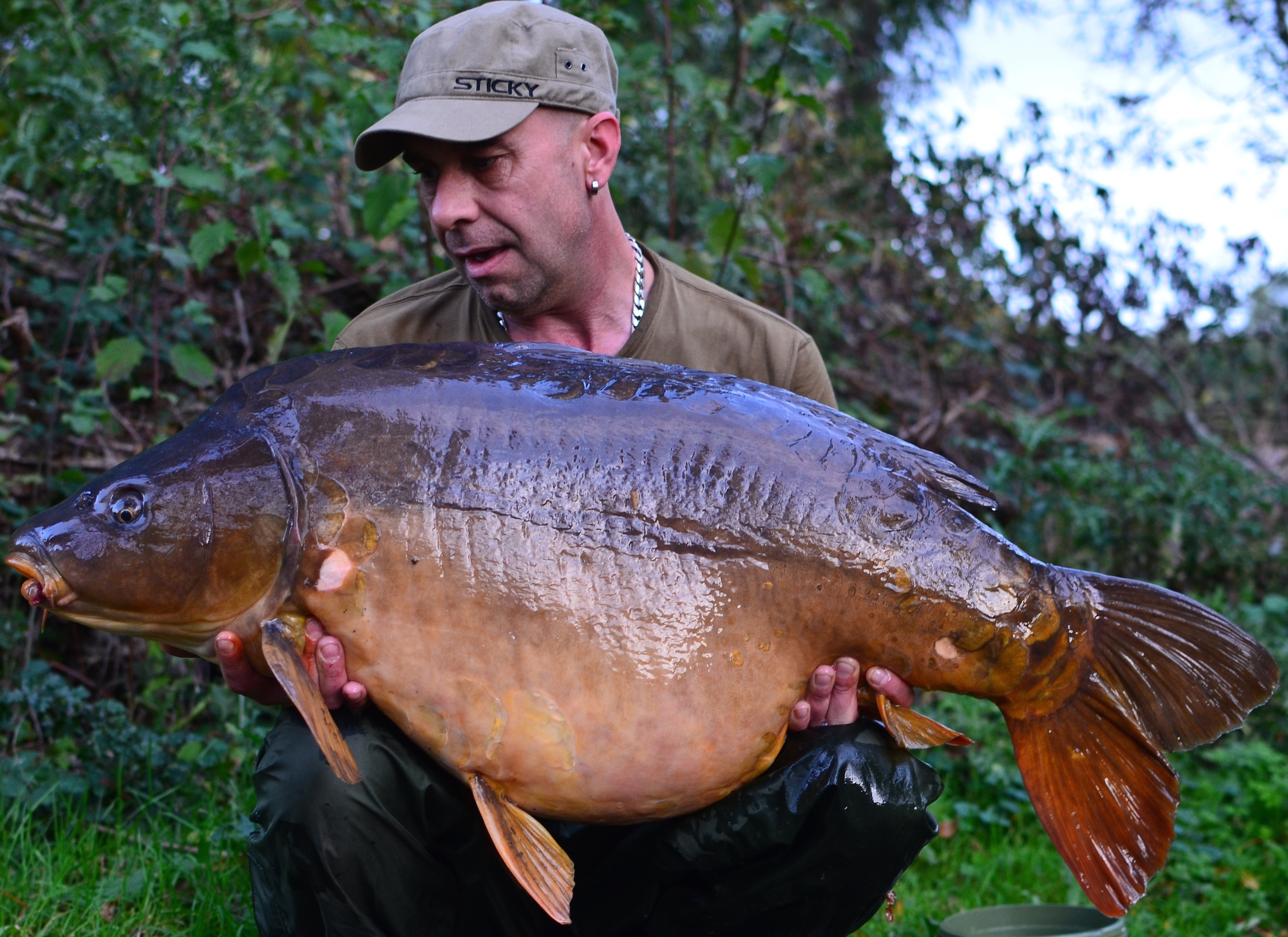 Wingham is landing spot for British super heavyweight carp