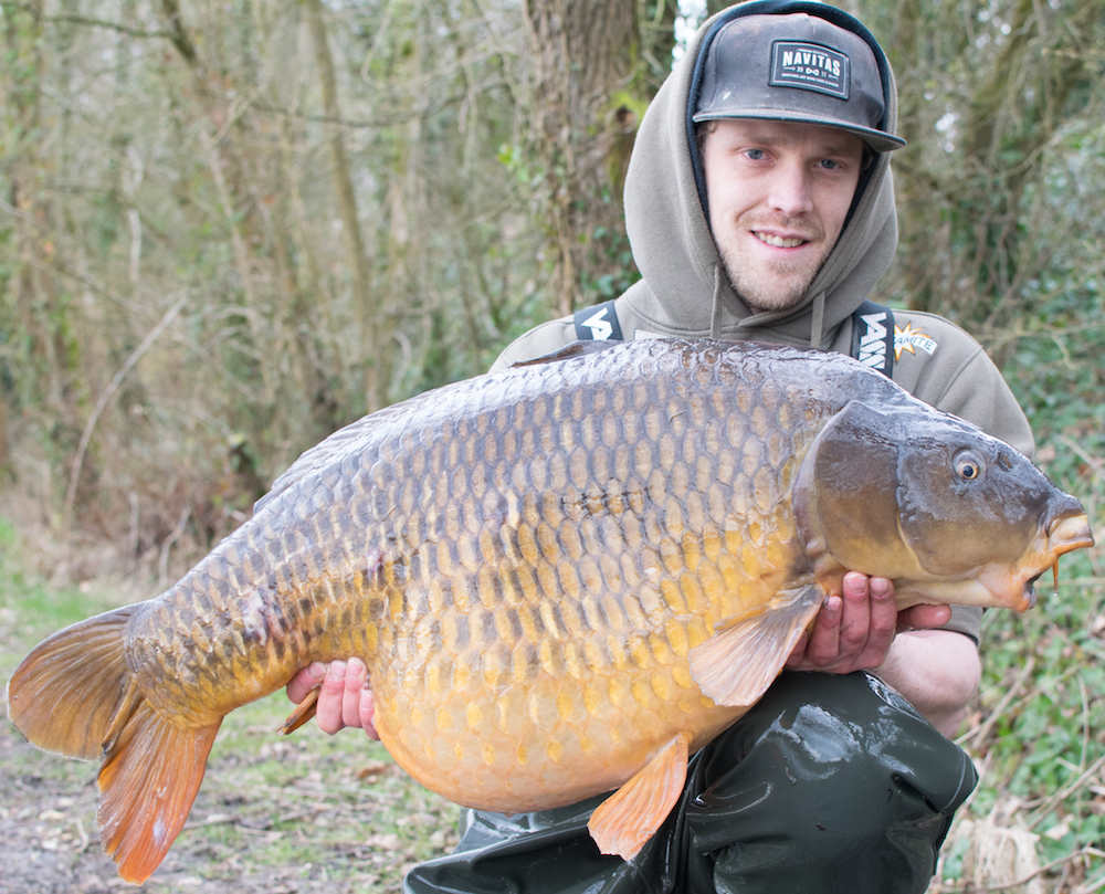 Four 40 lb carp landed in a single night fishing session