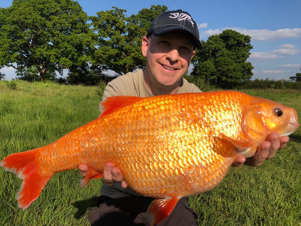 Golden orfe British record equalled at day ticket venue