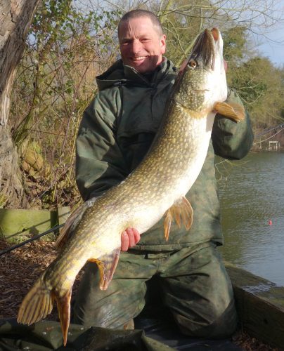 20 lb pike king reaches the 150 mark - from non-trout waters, too!