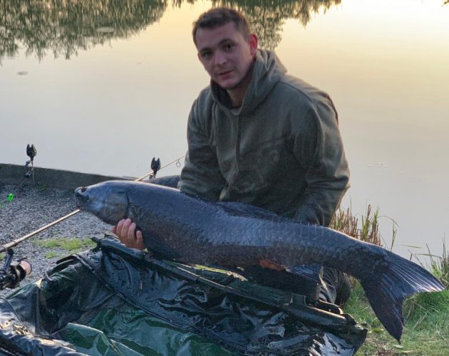 Blue carp in day ticket lake is one of rarest carp in Britain