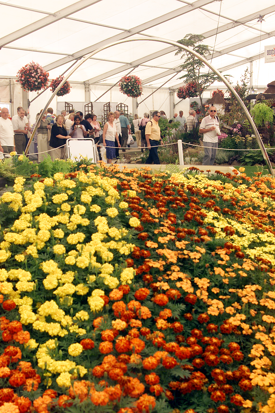 Gateshead Flower Show is axed - Amateur Gardening