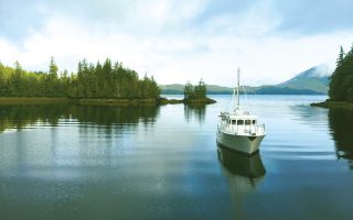 The story of MV Freedom: Why this young couple sold their house to buy ...