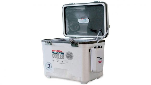 Best portable refrigerators: From thermoelectric to compressor coolers