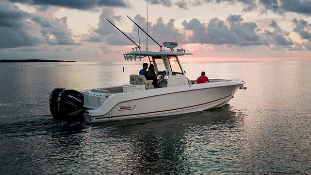 Best center consoles under 30ft that combine seakeeping and speed