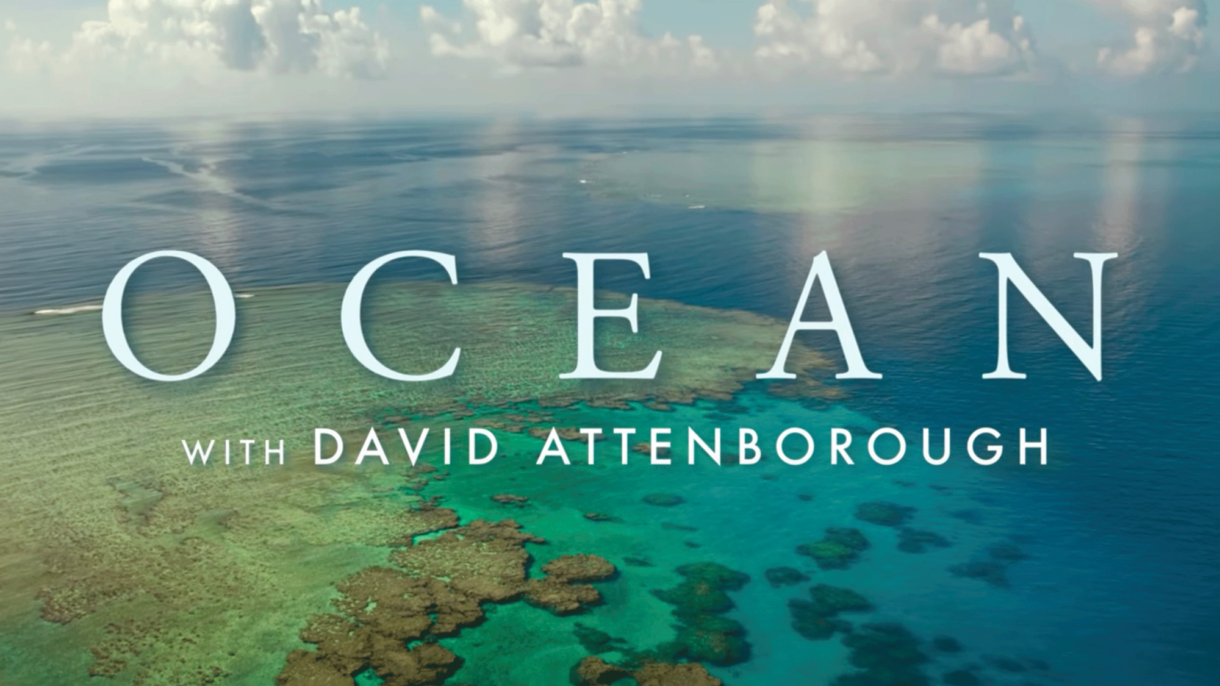 New David Attenborough film co-produced by Arksen and 10% for the Ocean