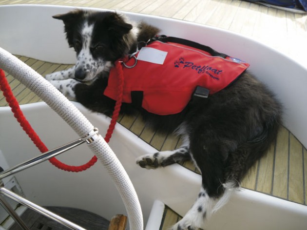 Step for an old sea dog - Practical Boat Owner