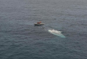 Official report into the Cheeki Rafiki tragedy - Practical Boat Owner