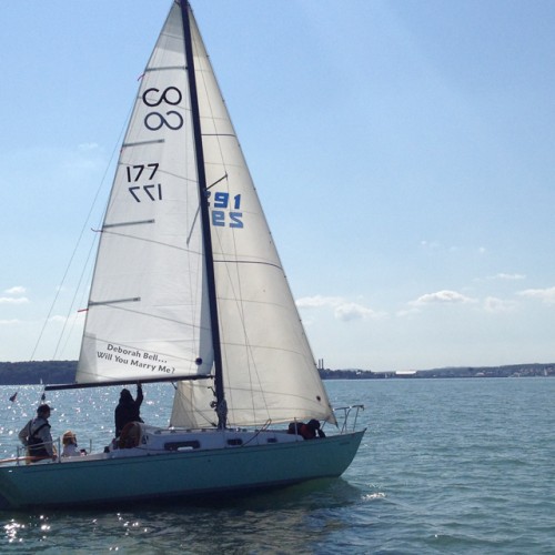 Contessa 26 50th anniversary rally - Practical Boat Owner