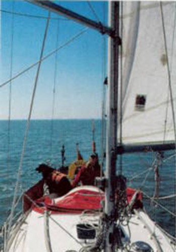 How to rig a spinnaker on a small yacht - what you need and where to ...