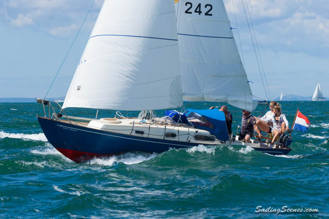 Contessa 26 50th anniversary rally - Practical Boat Owner