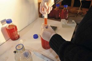 12 of the best diesel bug fuel additives tested - Practical Boat Owner