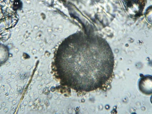 12 of the best diesel bug fuel additives tested - Practical Boat Owner