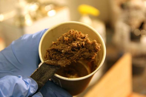 4. How to make the perfect epoxy fillet - Practical Boat Owner