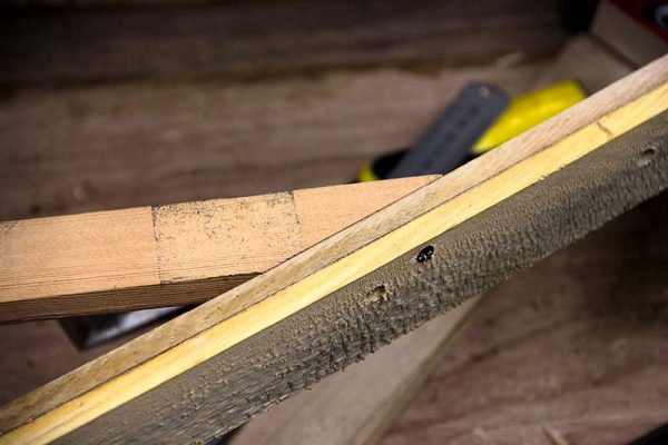8. Fitting intermediate and lower stringers - Practical Boat Owner