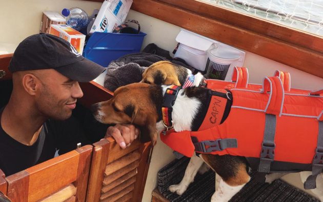 Seadogs: 10 top tips for sailing with dogs - Practical Boat Owner