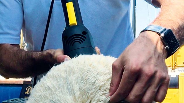 Boat polishing tips: How we got the PBO Project Boat’s topsides gleaming