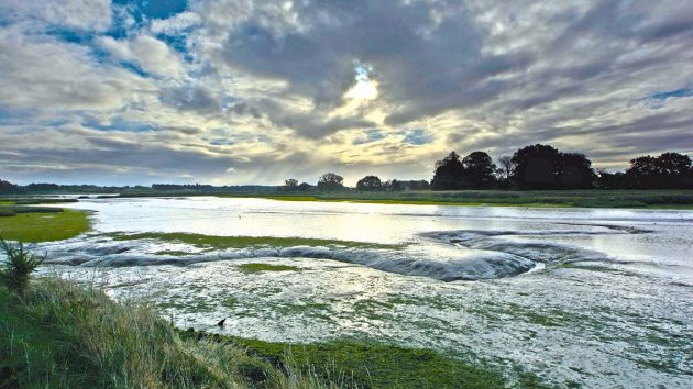 Mud team to the rescue! Lessons learned from running aground on a sandbank