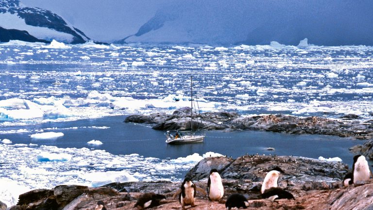 Jimmy Cornell: How I’ve learned to fix my own problems at sea