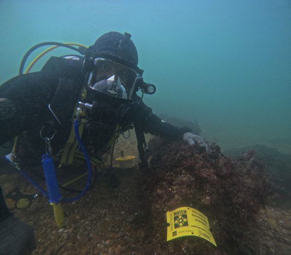 New marking technology for protected shipwrecks - Practical Boat Owner