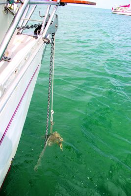 14 tips for single handed anchoring - Practical Boat Owner