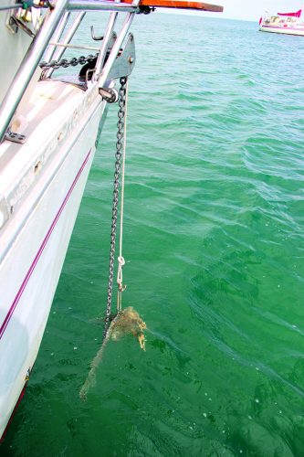 14 tips for single handed anchoring - Practical Boat Owner
