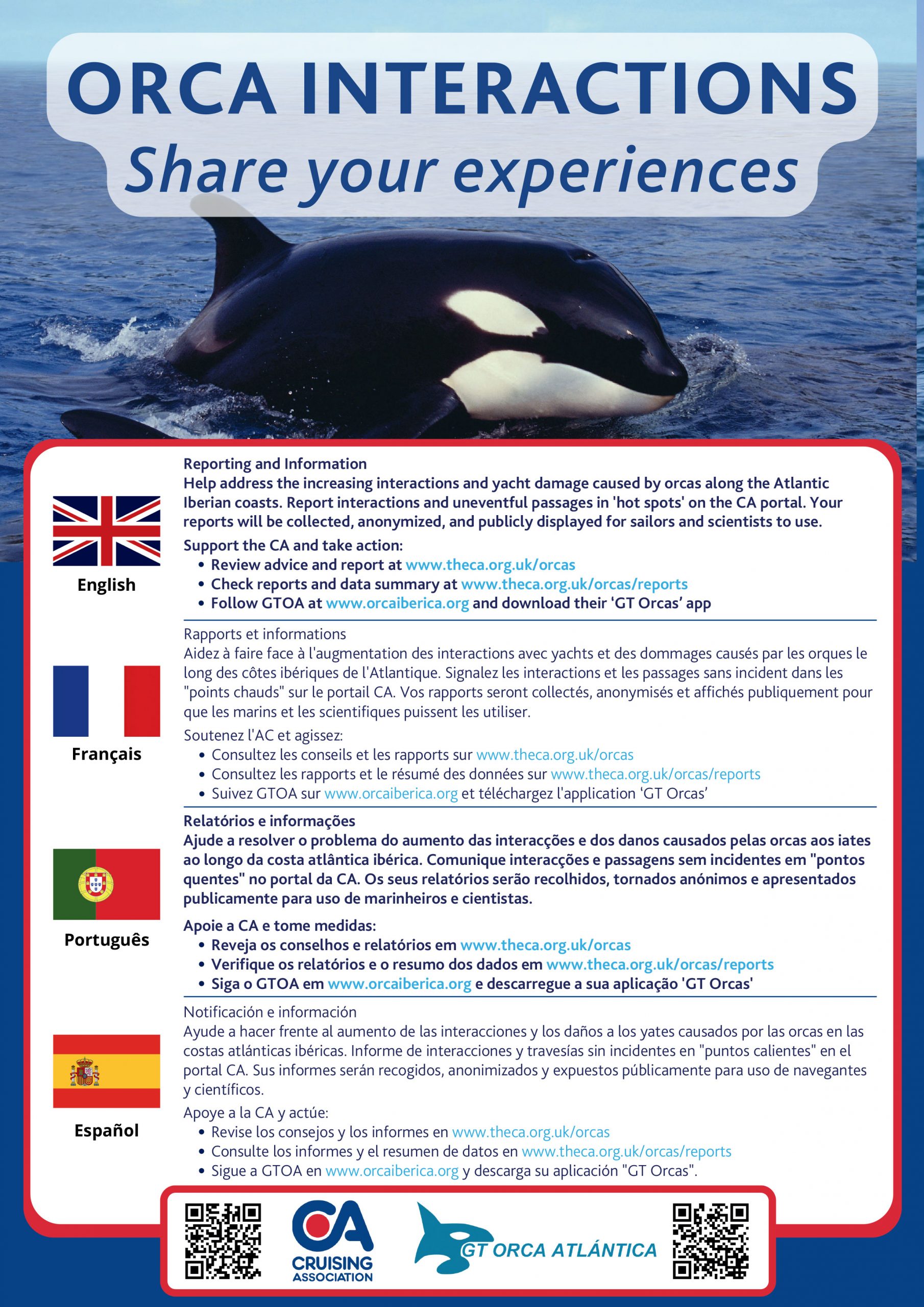 "Orca damage is covered": Insurers reassure boaters bound for hotspots