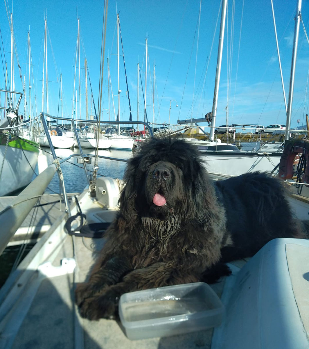Prizes for Seadog of the Month - Practical Boat Owner