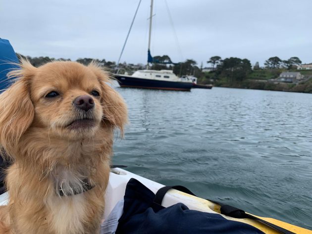 Prizes for Seadog of the Month - Practical Boat Owner