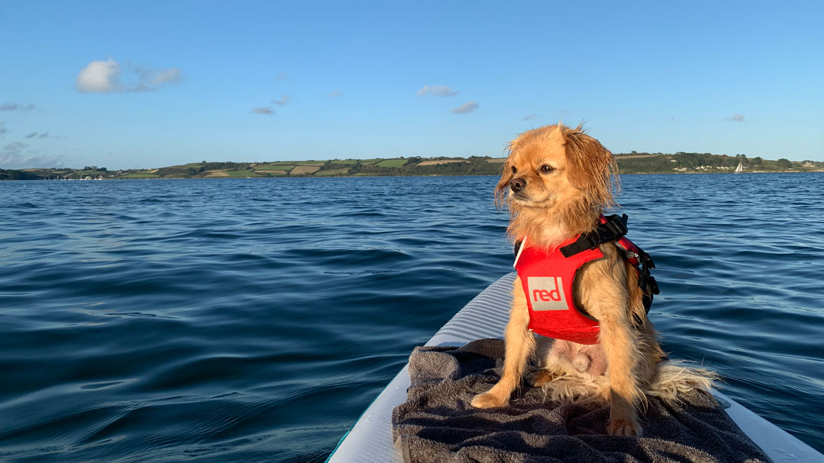 Prizes for Seadog of the Month - Practical Boat Owner