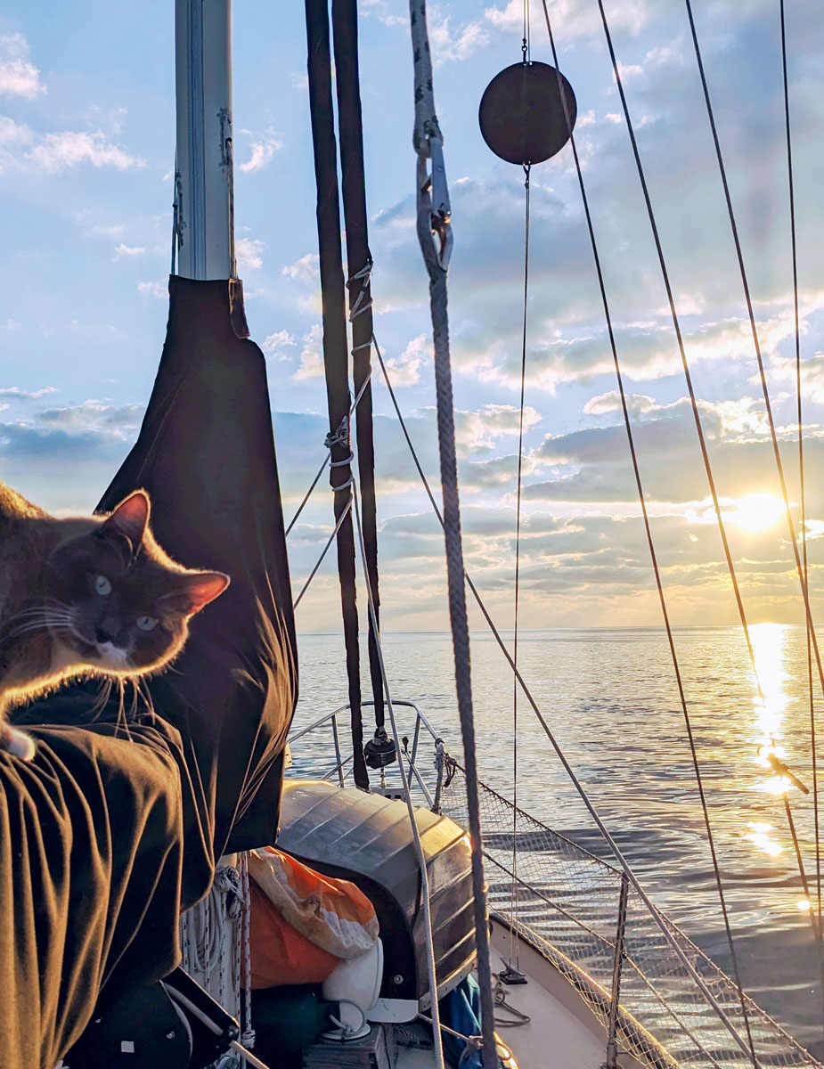 'Why I want to sail around the world in my 9m electric sailing boat ...