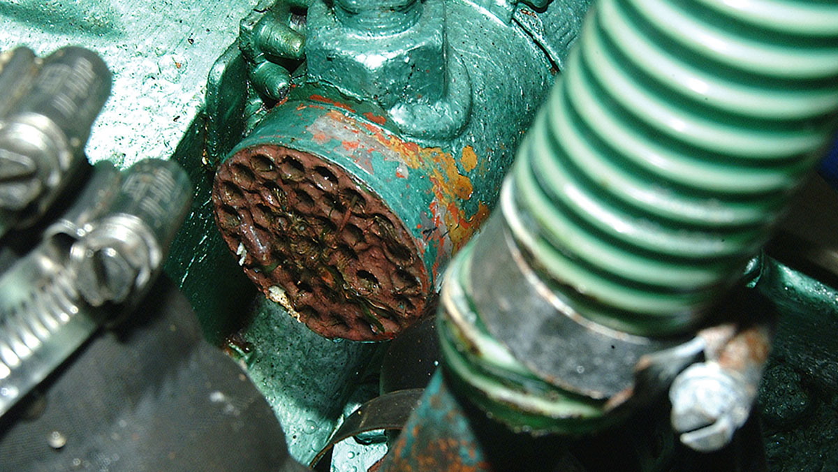 How to service a marine engine cooling system - Practical Boat Owner