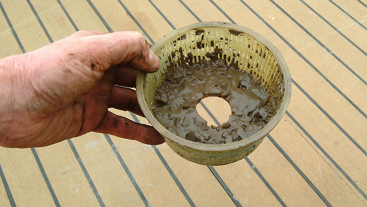 How to service a marine engine cooling system - Practical Boat Owner