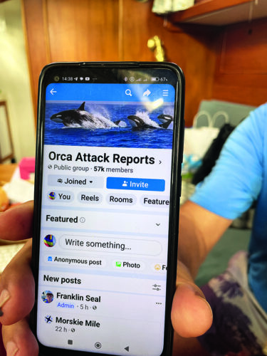 Orca encounters on boats: what you need to know - Practical Boat Owner