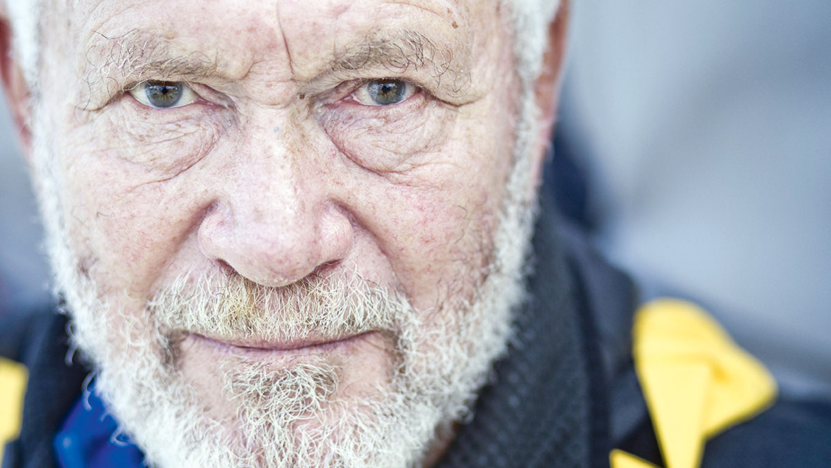 Orca encounters on boats: what you need to know - Practical Boat Owner