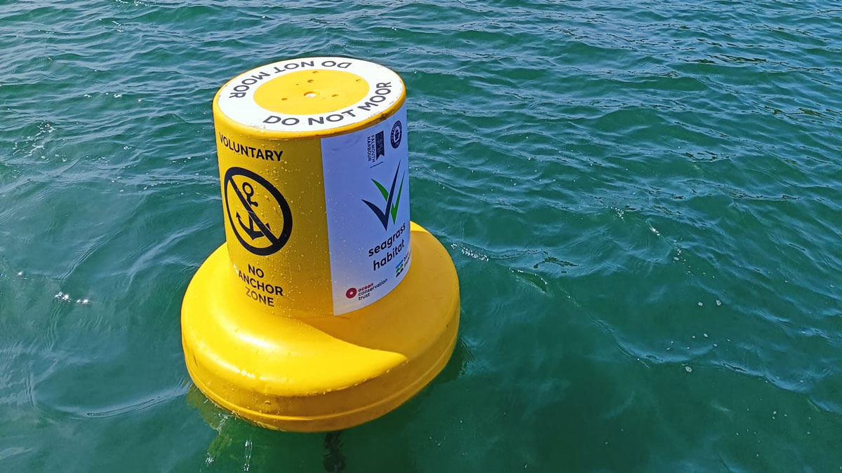 New marker buoys to mark voluntary no-anchor zone installed off ...