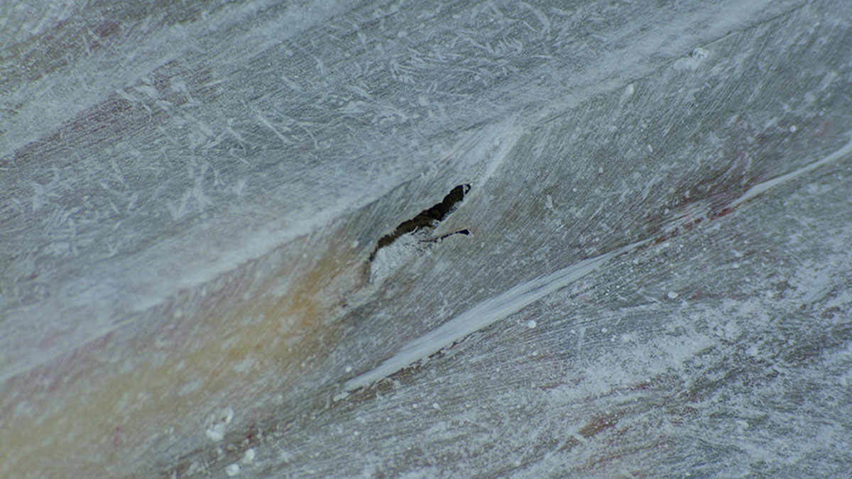 DIY GRP repair: step by step guide - Practical Boat Owner