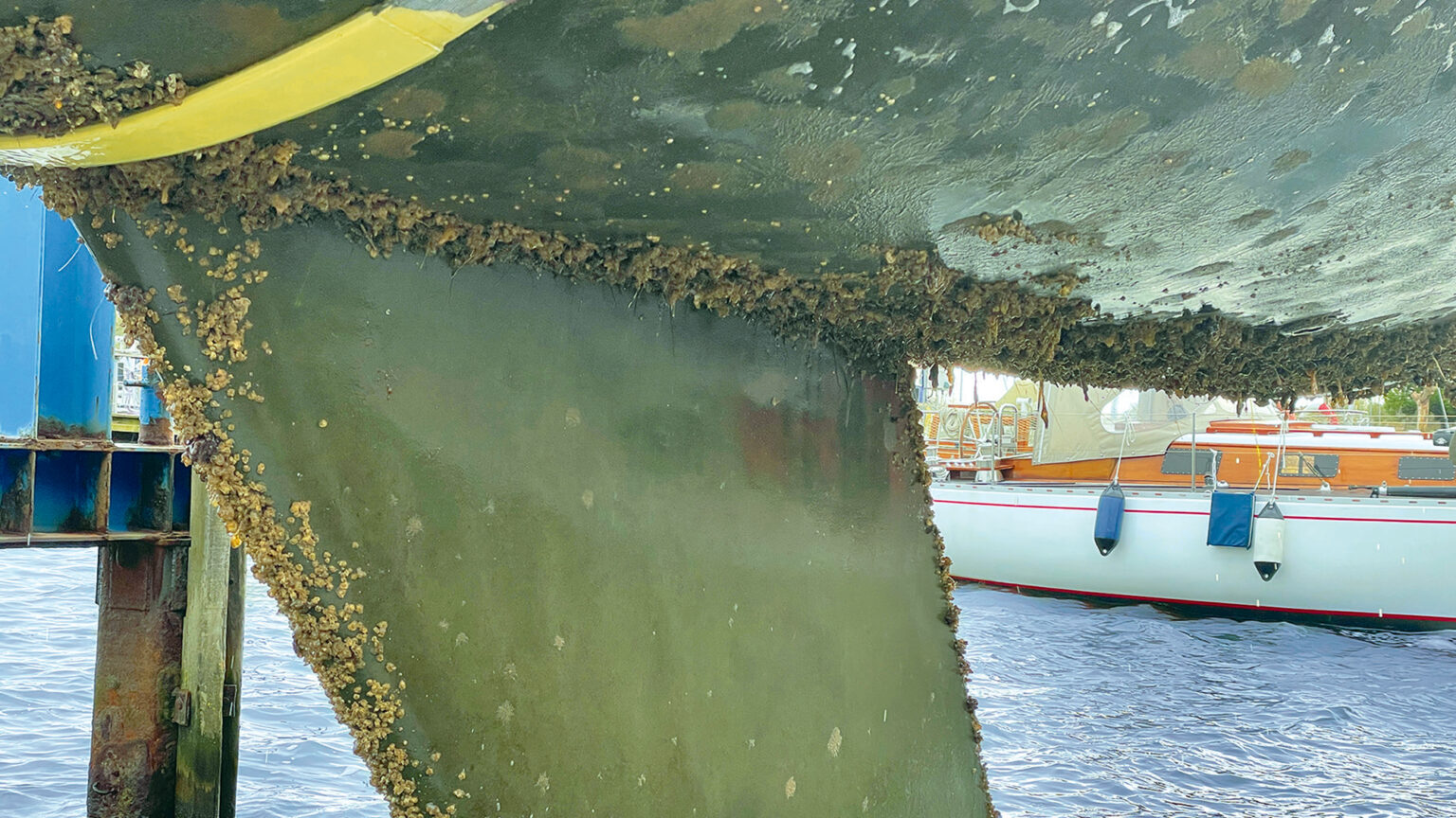 Your best biocide-free antifouling options - Practical Boat Owner